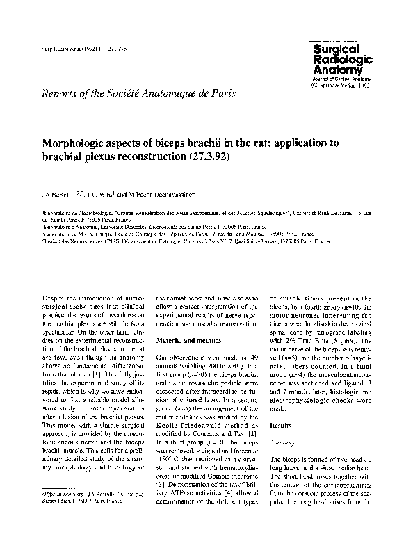 (PDF) Morphologic aspects of biceps brachii in the rat: application to ...