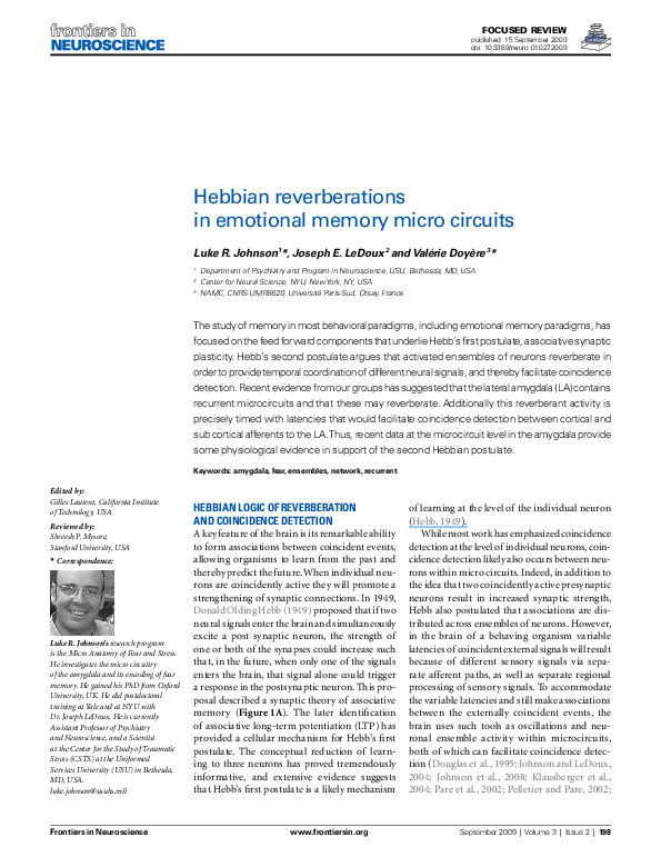 (PDF) Hebbian Reverberations in Emotional Memory Micro Circuits