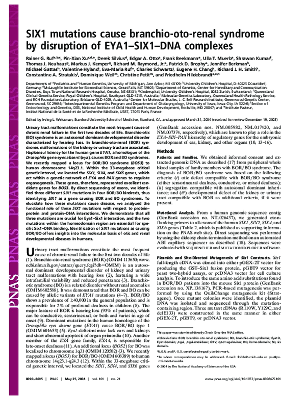 (PDF) SIX1 mutations cause branchio-oto-renal syndrome by disruption of ...