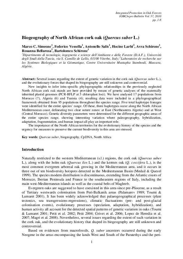 (PDF) Biogeography of North African cork oak (Quercus suber L.)