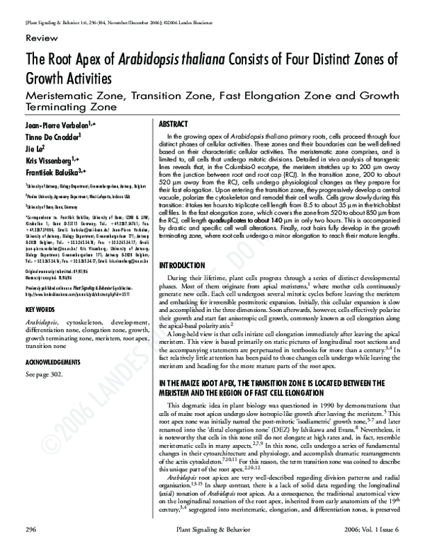 (PDF) Root apex of Arabidopsis thaliana consists of four distinct zones ...