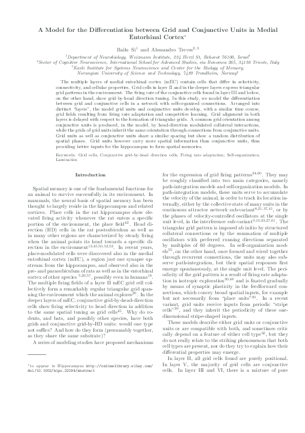Pdf A Model For The Differentiation Between Grid And Conjunctive