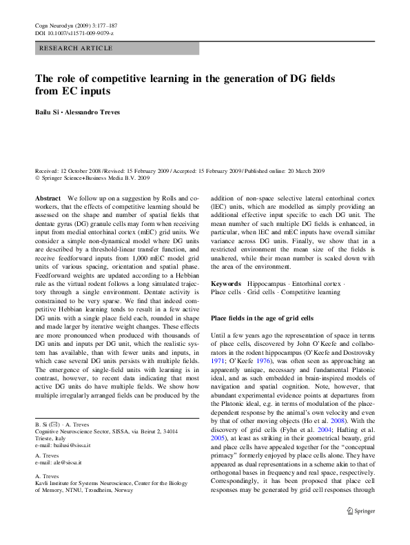 (PDF) The role of competitive learning in the generation of DG fields ...
