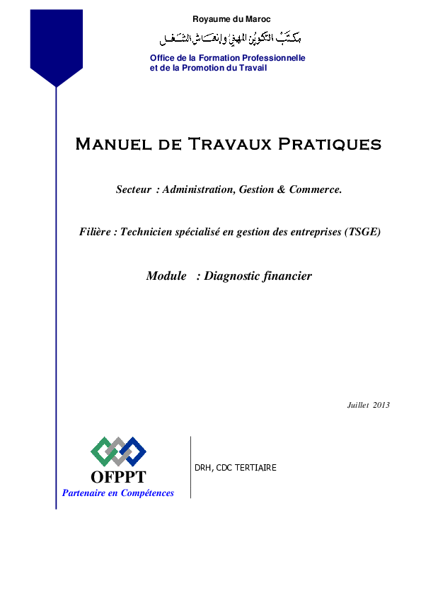 (PDF) Partenaire en Compétences Module : Diagnostic financier Royaume ...