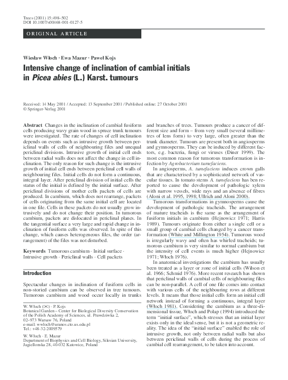 (PDF) Intensive change of inclination of cambial initials in Picea ...