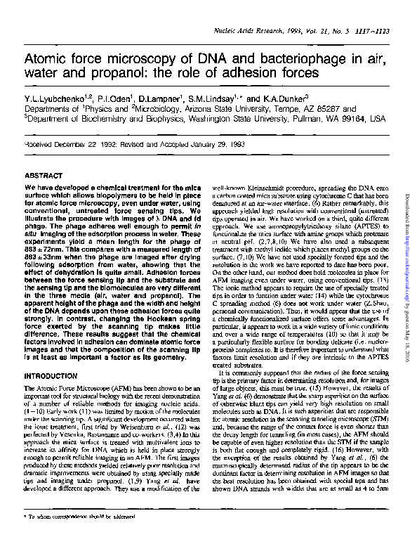 (PDF) Atomic force microscopy of DNA and bacteriophage in air, water ...