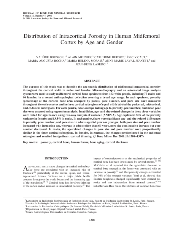 (PDF) Midfemoral Cortical Porosity by Age and Gender