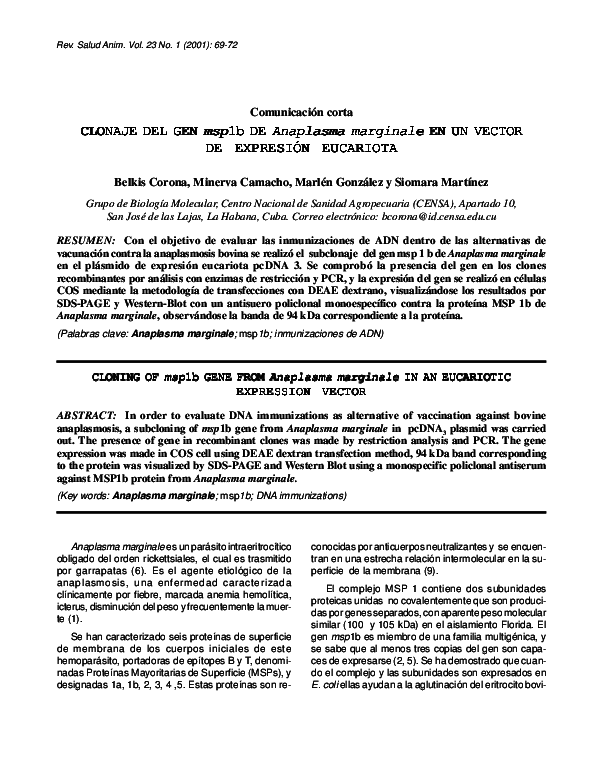 (PDF) CLONAJE DEL GEN CLONAJE DEL GEN msp1b DE Anaplasma marginale ...
