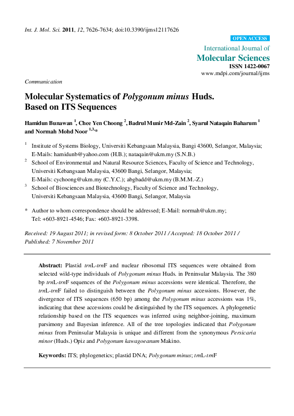 (PDF) Molecular Systematics of Polygonum minus Huds. Based on ITS Sequences