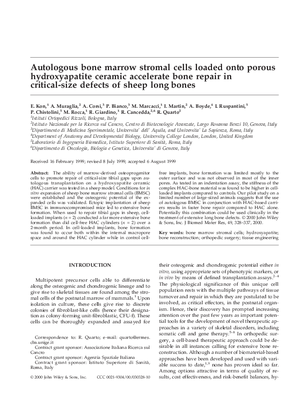 (PDF) Autologous bone marrow stromal cells loaded onto porous ...
