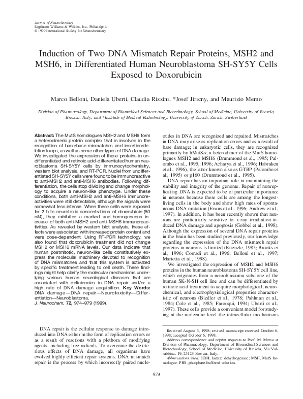 (PDF) Induction of Two DNA Mismatch Repair Proteins, MSH2 and MSH6, in ...