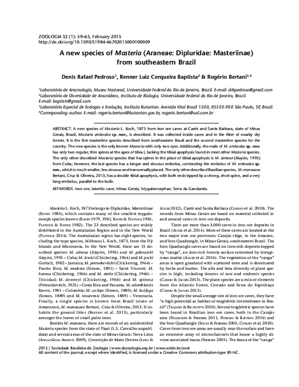 (PDF) A new species of Masteria (Araneae: Dipluridae: Masteriinae) from ...