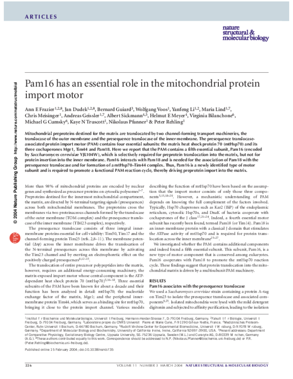(PDF) Pam16 has an essential role in the mitochondrial protein import motor