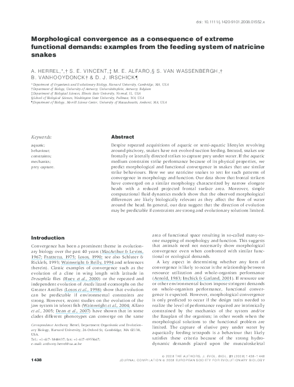 (PDF) Morphological convergence as a consequence of extreme functional ...