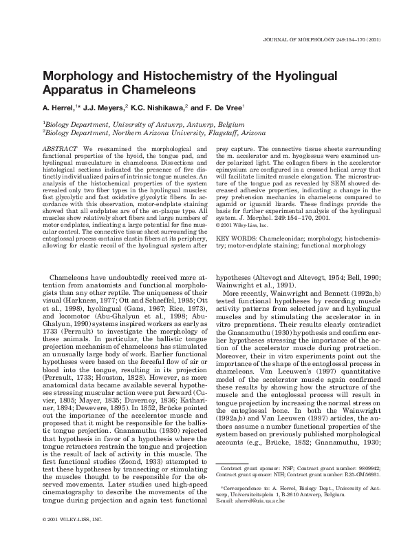 (PDF) Morphology and histochemistry of the hyolingual apparatus in ...