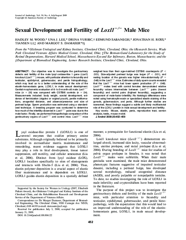 (PDF) Sexual Development and Fertility of Loxl1-/- Male Mice