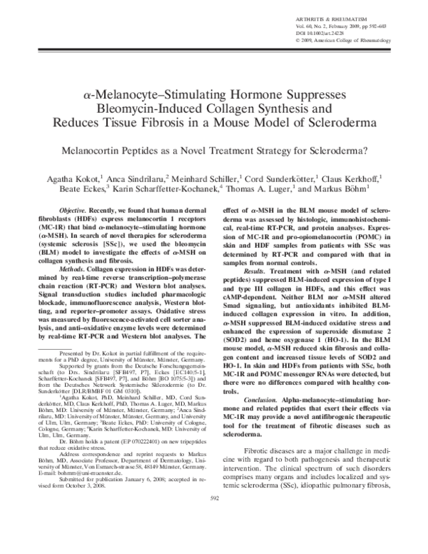 (PDF) α-melanocyte-stimulating hormone suppresses bleomycin-induced ...