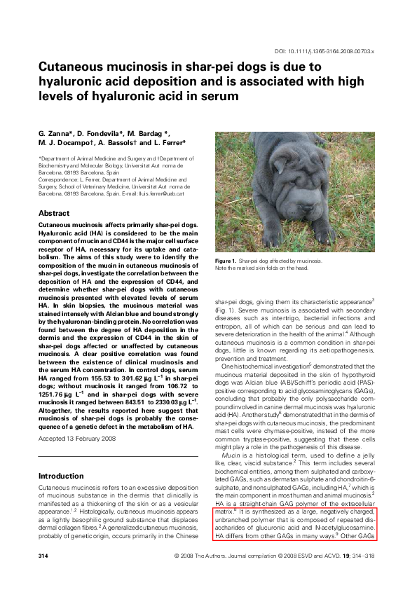 (PDF) Cutaneous mucinosis in shar-pei dogs is due to hyaluronic acid ...