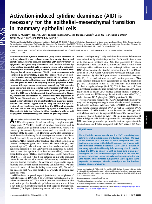 (PDF) Activation-induced cytidine deaminase (AID) is necessary for the ...