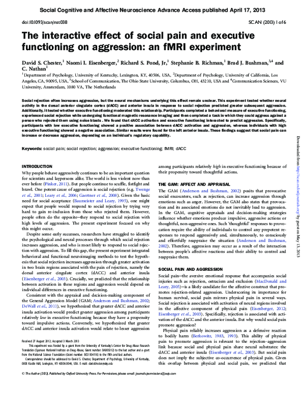 (PDF) The interactive effect of social pain and executive functioning ...