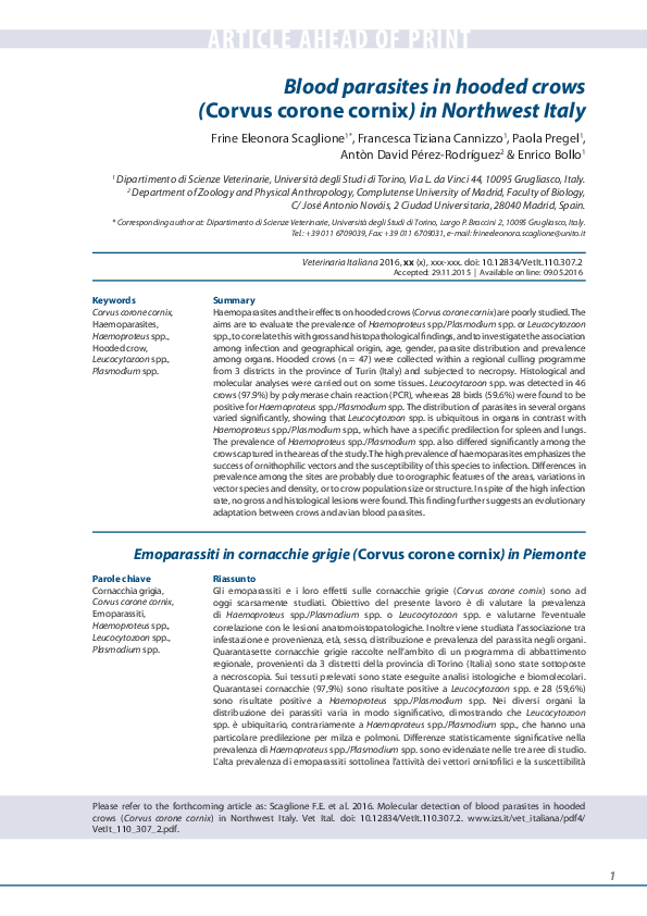 (PDF) Blood parasites in hooded crows (Corvus corone cornix) in ...