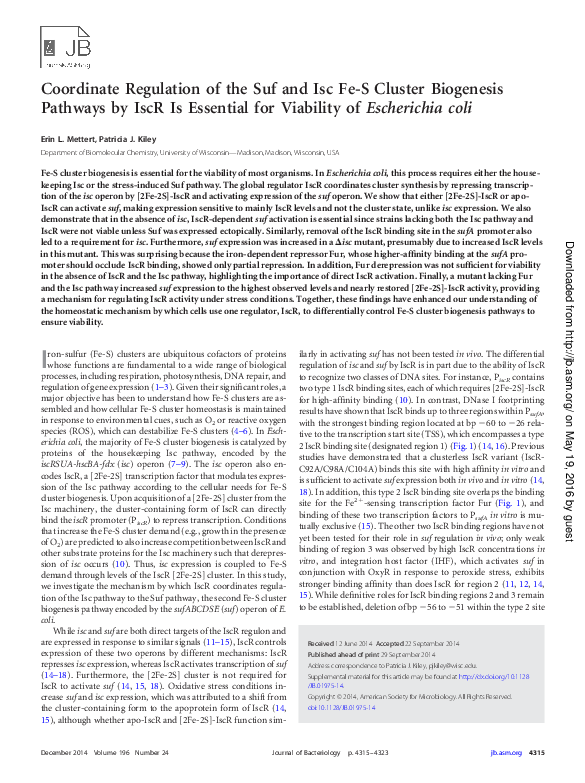 (PDF) Coordinate Regulation of the Suf and Isc Fe-S Cluster Biogenesis ...