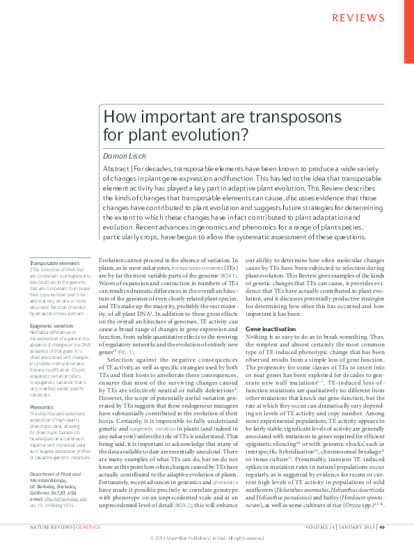 How important are transposons for plant evolution?