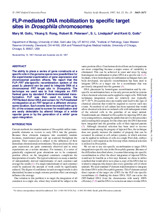 Pdf Flp Mediated Dna Mobilization To Specific Target Sites In Drosophila Chromosomes