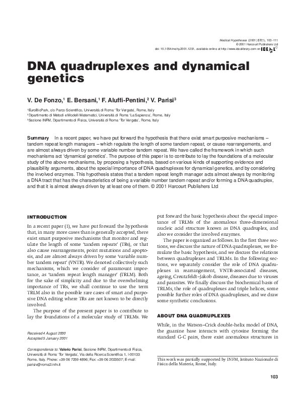 (PDF) DNA quadruplexes and dynamical genetics