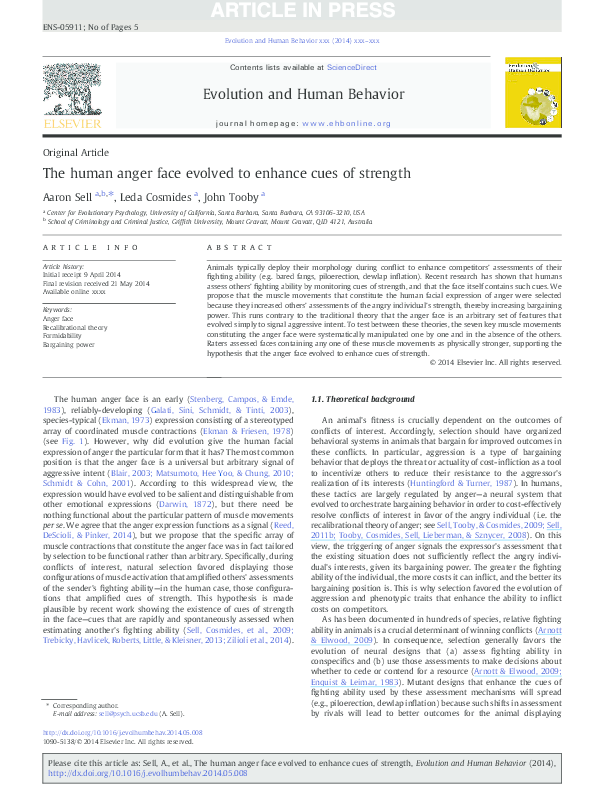(PDF) The human anger face evolved to enhance cues of strength