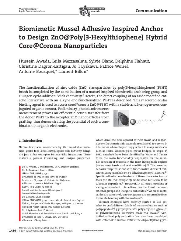 (PDF) Biomimetic Mussel Adhesive Inspired Anchor to Design ZnO@Poly(3 ...