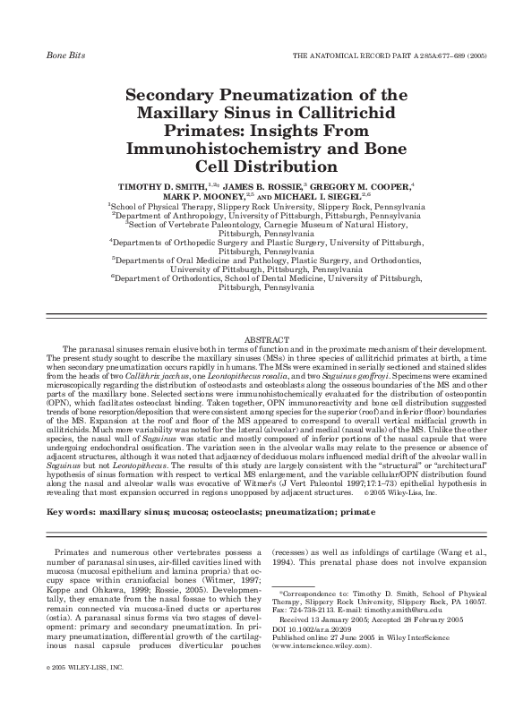(PDF) Secondary pneumatization of the maxillary sinus in callitrichid ...