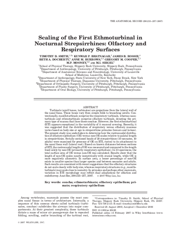 (PDF) Scaling of the first ethmoturbinal in nocturnal strepsirrhines ...