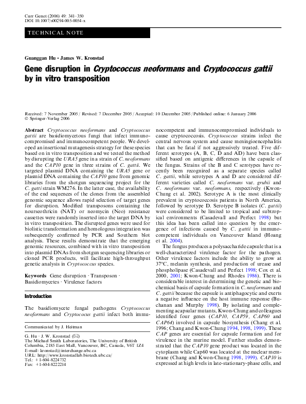 (PDF) Gene disruption in Cryptococcus neoformans and Cryptococcus ...