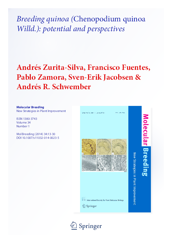 (PDF) Breeding quinoa (Chenopodium quinoa Willd.): potential and perspectives