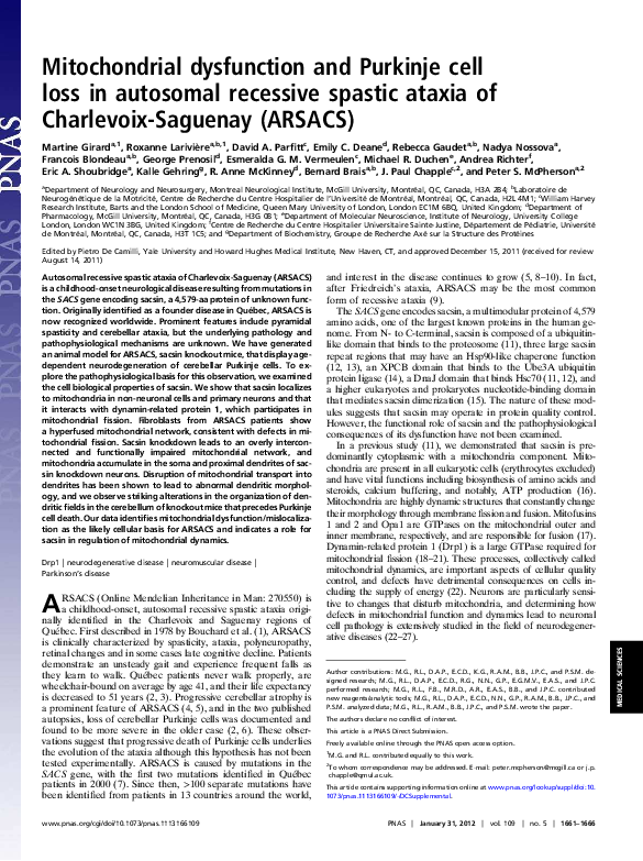 (PDF) Mitochondrial dysfunction and Purkinje cell loss in autosomal recessive spastic ataxia of ...