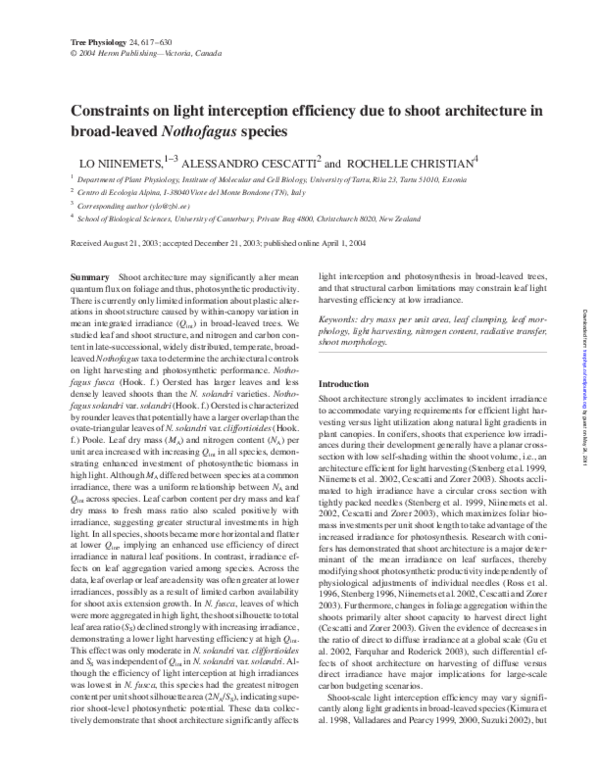 Pdf Constraints On Light Interception Efficiency Due To Shoot Architecture In Broad Leaved
