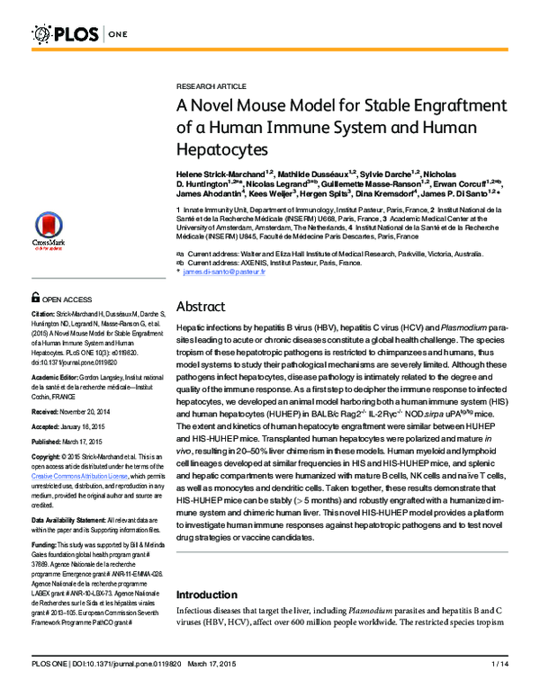 (PDF) A novel mouse model for stable engraftment of a human immune ...
