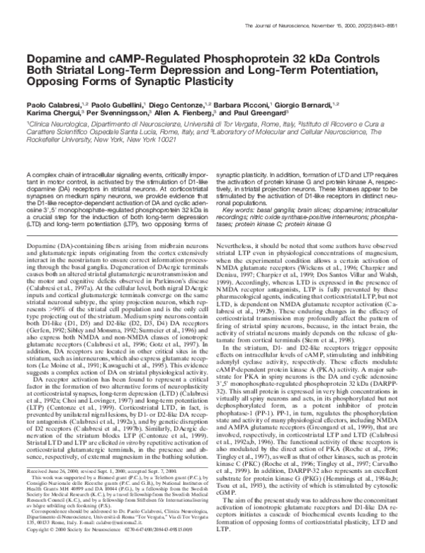 (PDF) Dopamine and cAMP-regulated phosphoprotein 32 kDa controls both ...