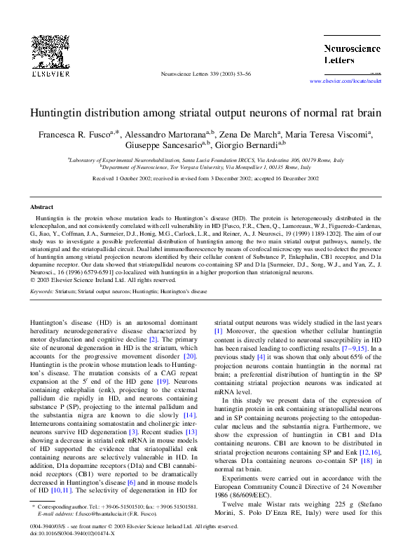 (PDF) Huntingtin distribution among striatal output neurons of normal ...