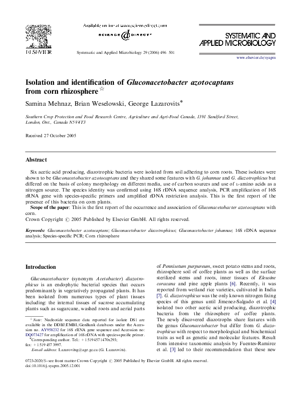 (PDF) Isolation and identification of Gluconacetobacter azotocaptans ...
