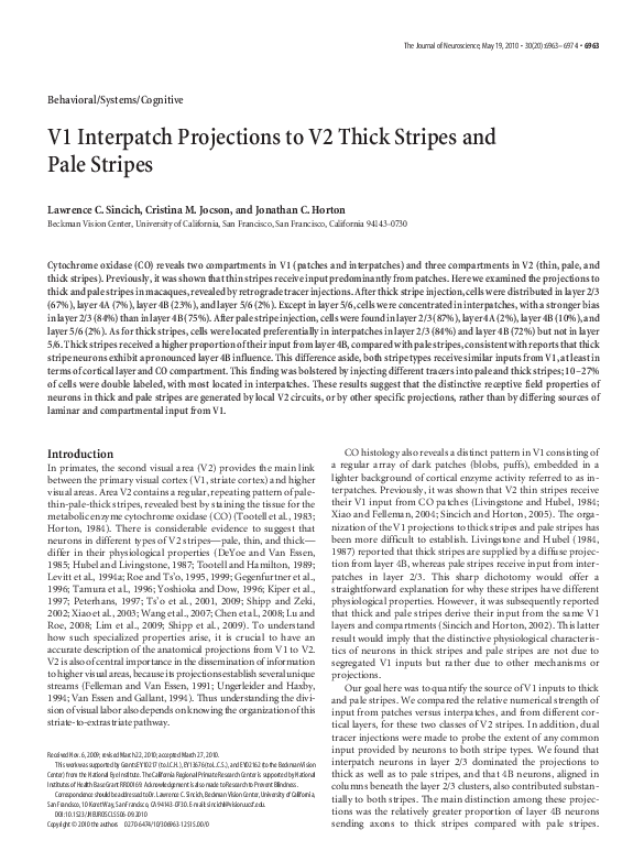(PDF) V1 Interpatch Projections to V2 Thick Stripes and Pale Stripes