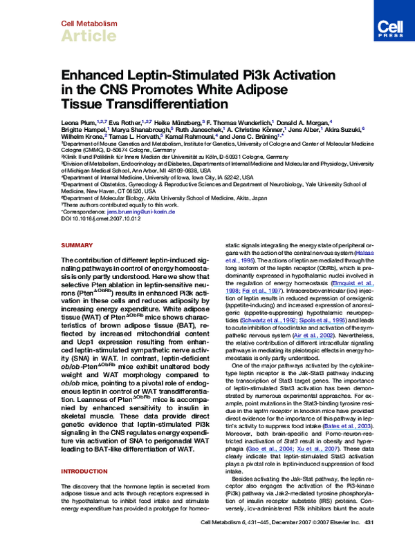 (PDF) Enhanced Leptin-Stimulated Pi3k Activation in the CNS Promotes ...