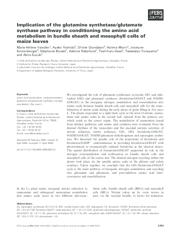 (PDF) Implication of the glutamine synthetase/glutamate synthase ...
