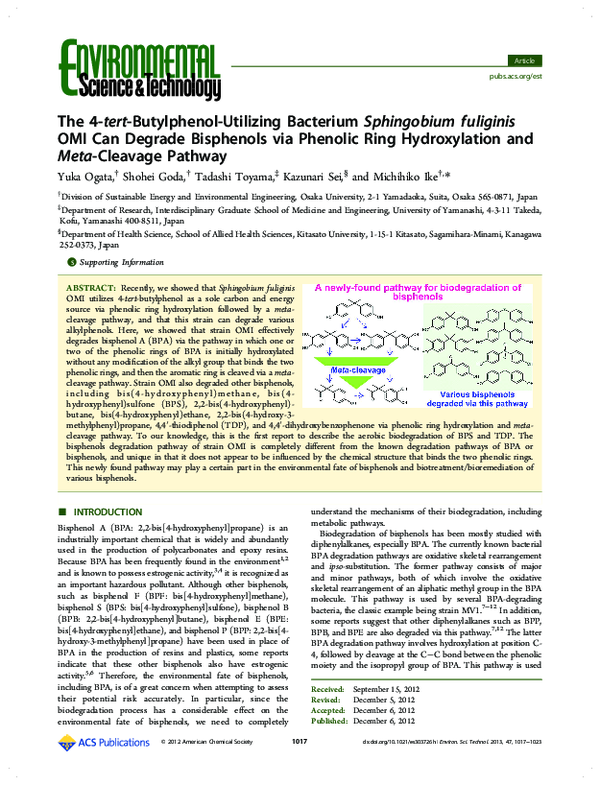 (PDF) The 4- tert -Butylphenol-Utilizing Bacterium Sphingobium ...