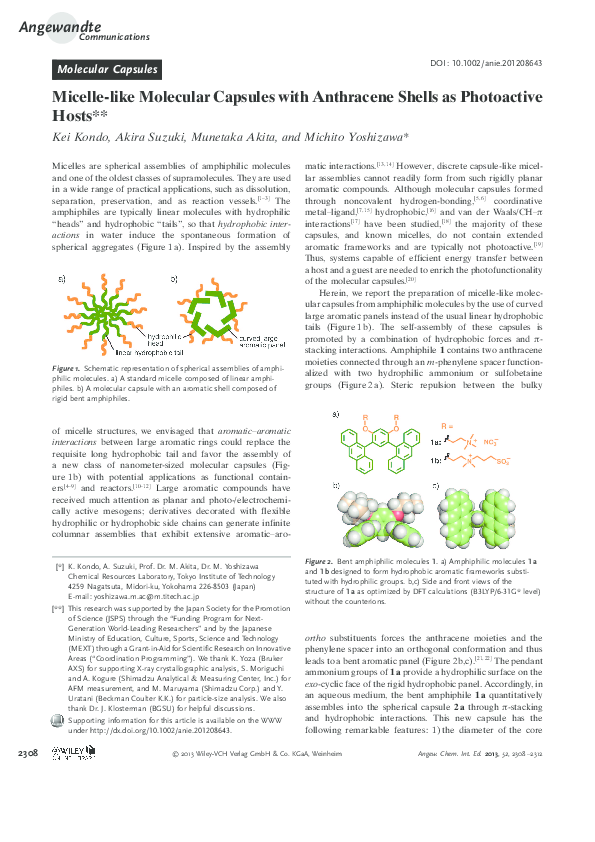 (PDF) Micelle-like Molecular Capsules with Anthracene Shells as ...