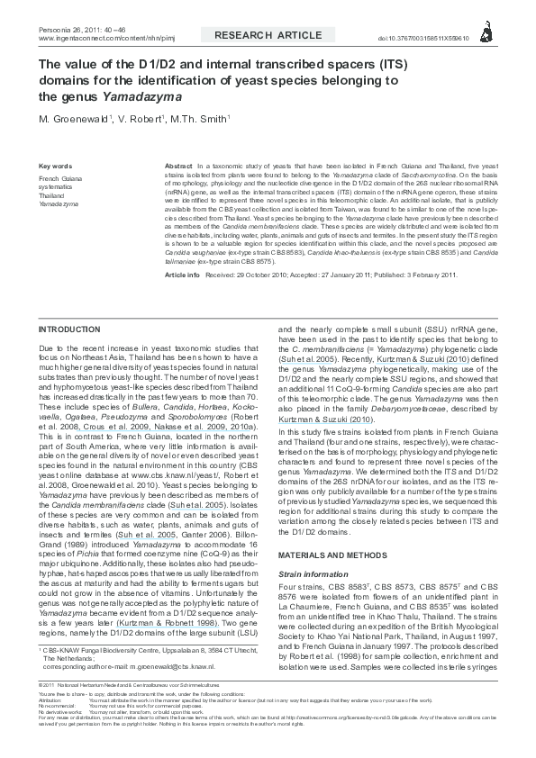 (PDF) Description of Diutina gen. nov., Diutina siamensis, f.a. sp. nov ...
