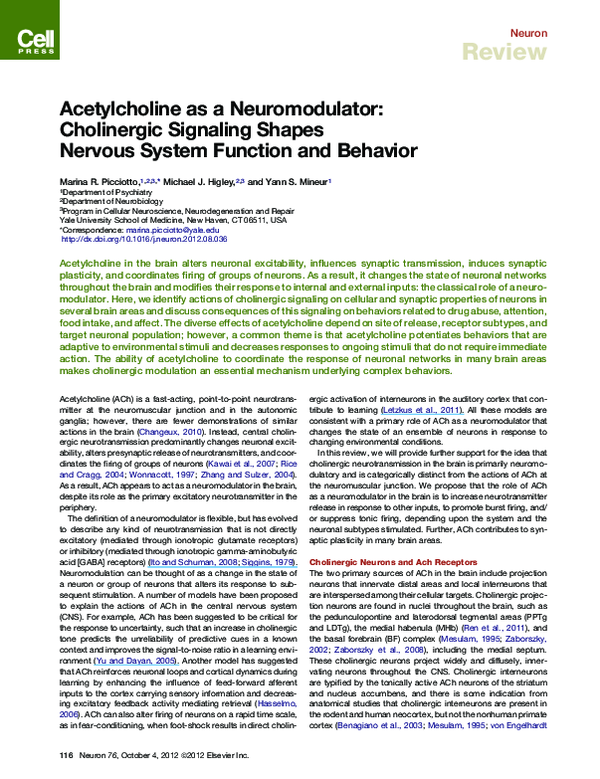 (PDF) Acetylcholine as a Neuromodulator: Cholinergic Signaling Shapes ...