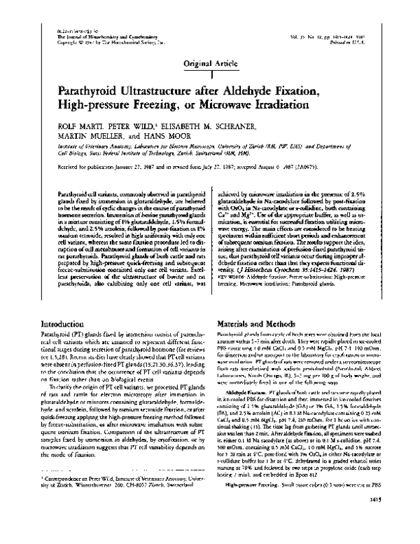 (PDF) Parathyroid ultrastructure after aldehyde fixation, high-pressure ...