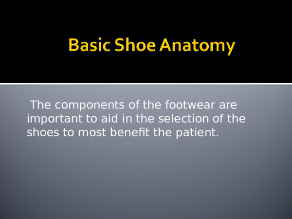 (PPT) Basic Shoe Anatomy